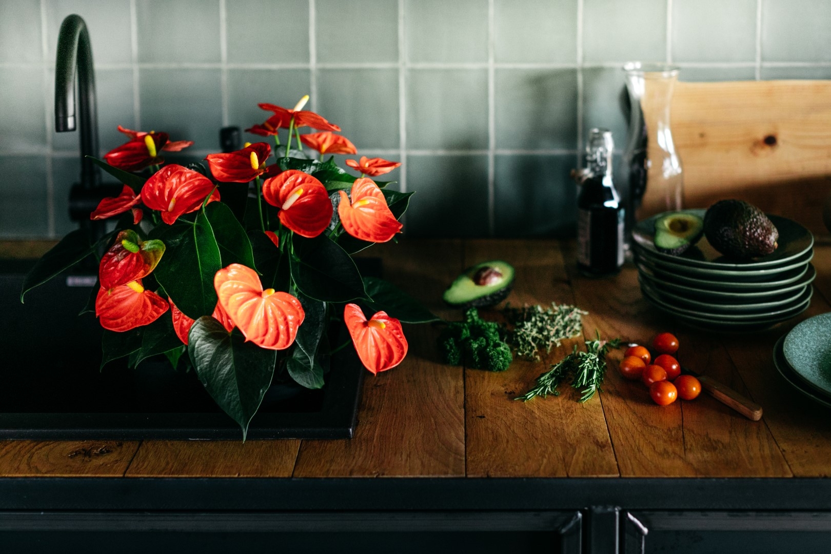 Stilo - Anthurium pot plants | Anthura