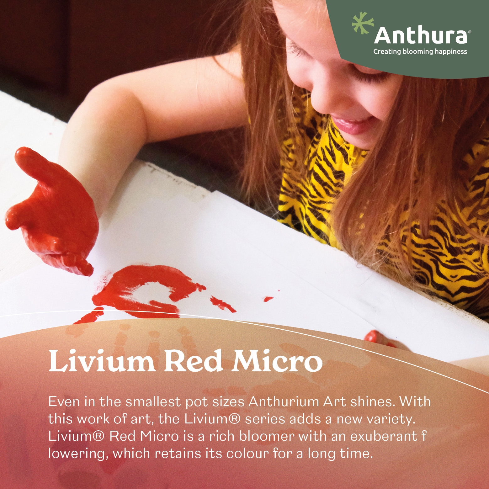 Livium Red Micro - Anthurium potplanten | Anthura