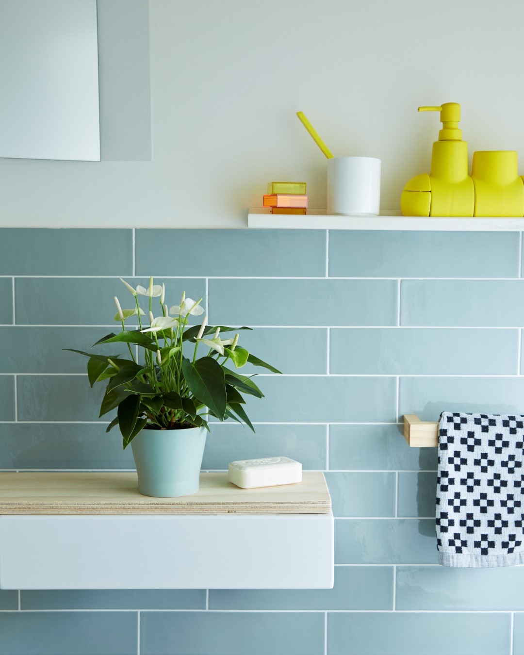 Eclyps - Anthurium pot plants | Anthura