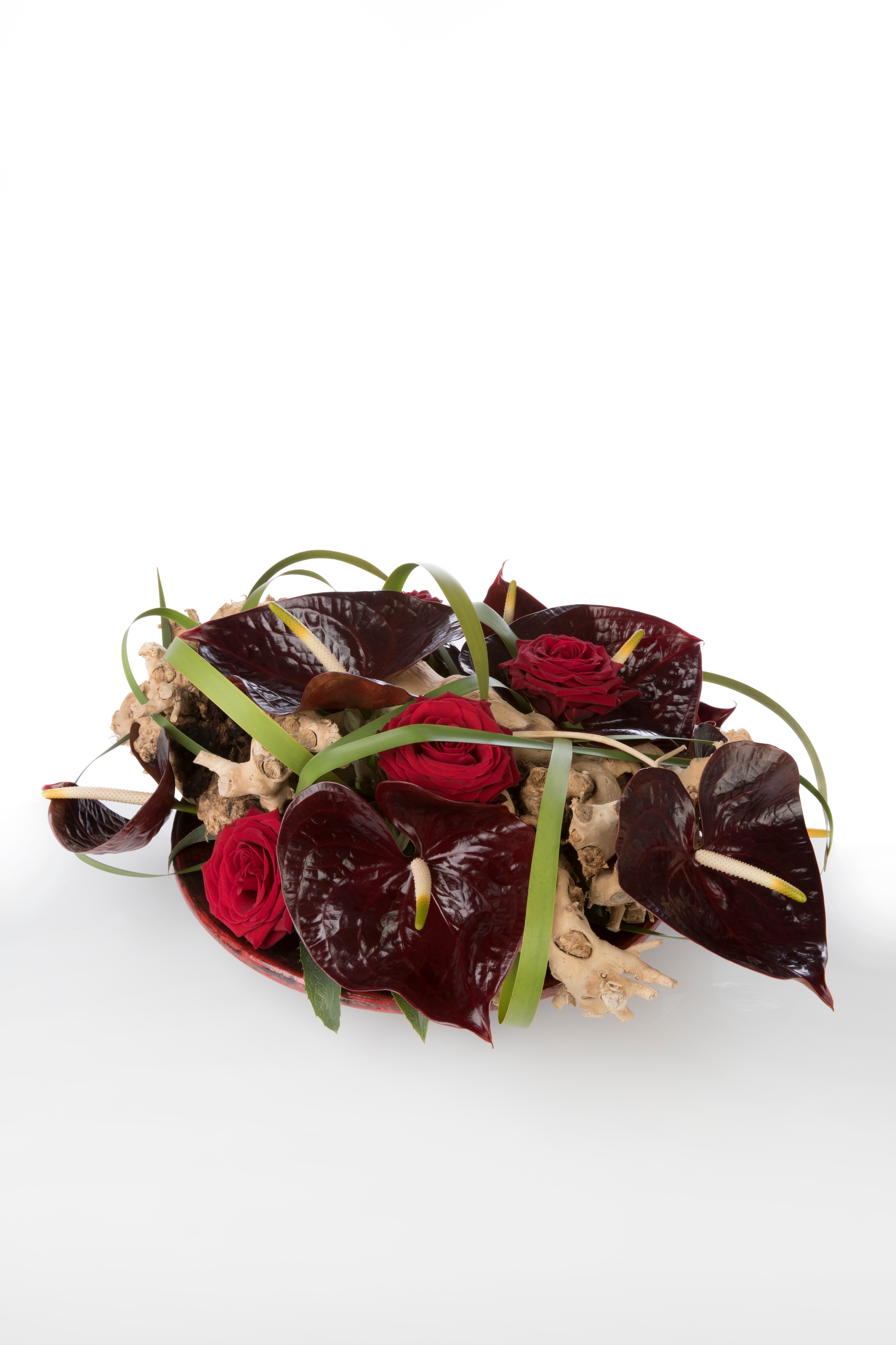 Showtime® - Anthurium cut flowers | Anthura