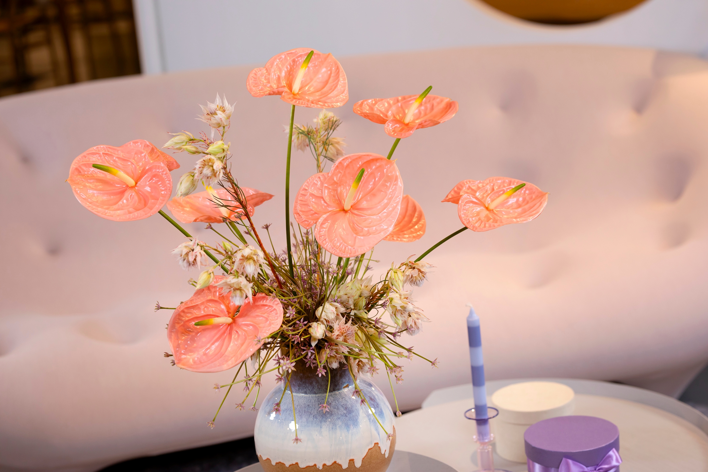 Kuduro® - Anthurium cut flowers | Anthura